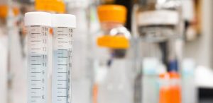 The Lawson Practice – The Lawson Practice